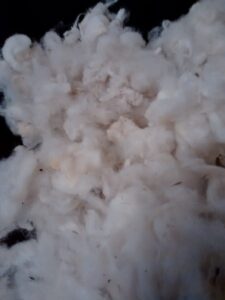 Wool Flake (per 5 lbs) – DIY Natural Home