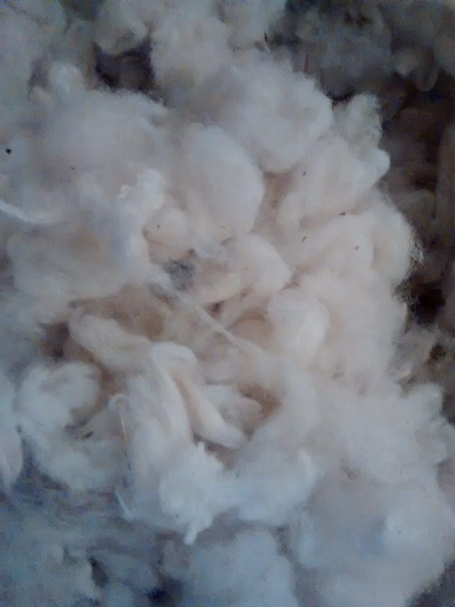 Wool Flake (per 5 lbs) – DIY Natural Home